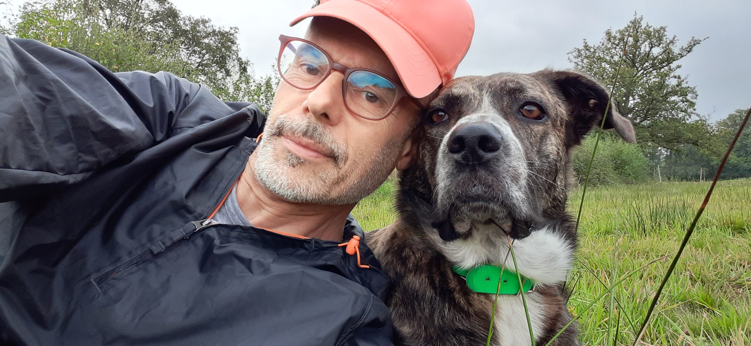 Éducateur comportementaliste canin - positivdog